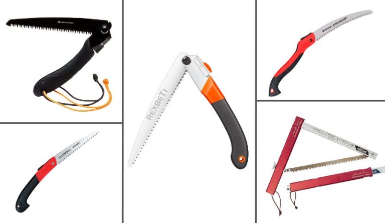 From Forest to Firewood: Choosing the Best Backpacking Saw for Your ...